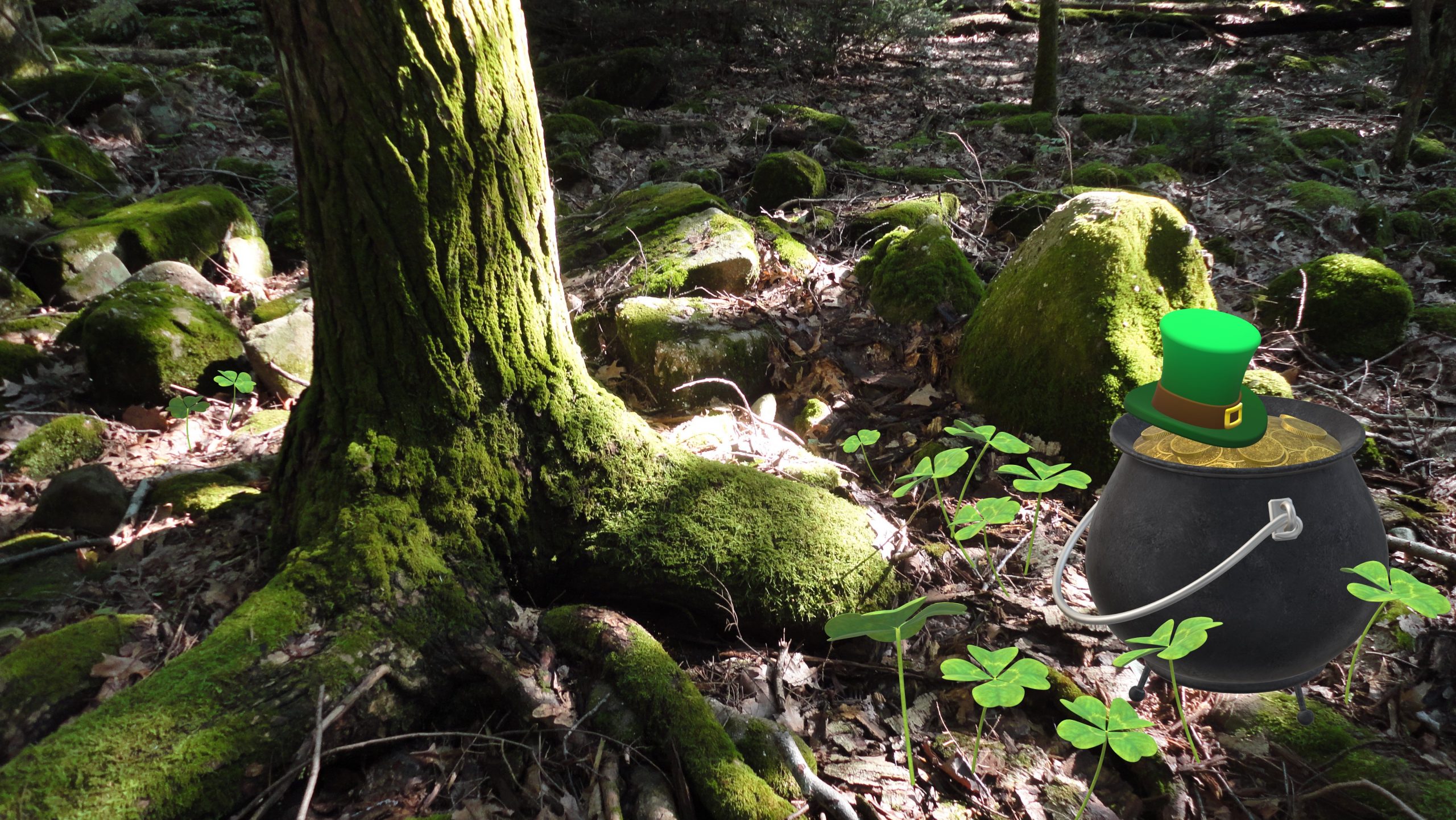 Community Chat – Nature Chat